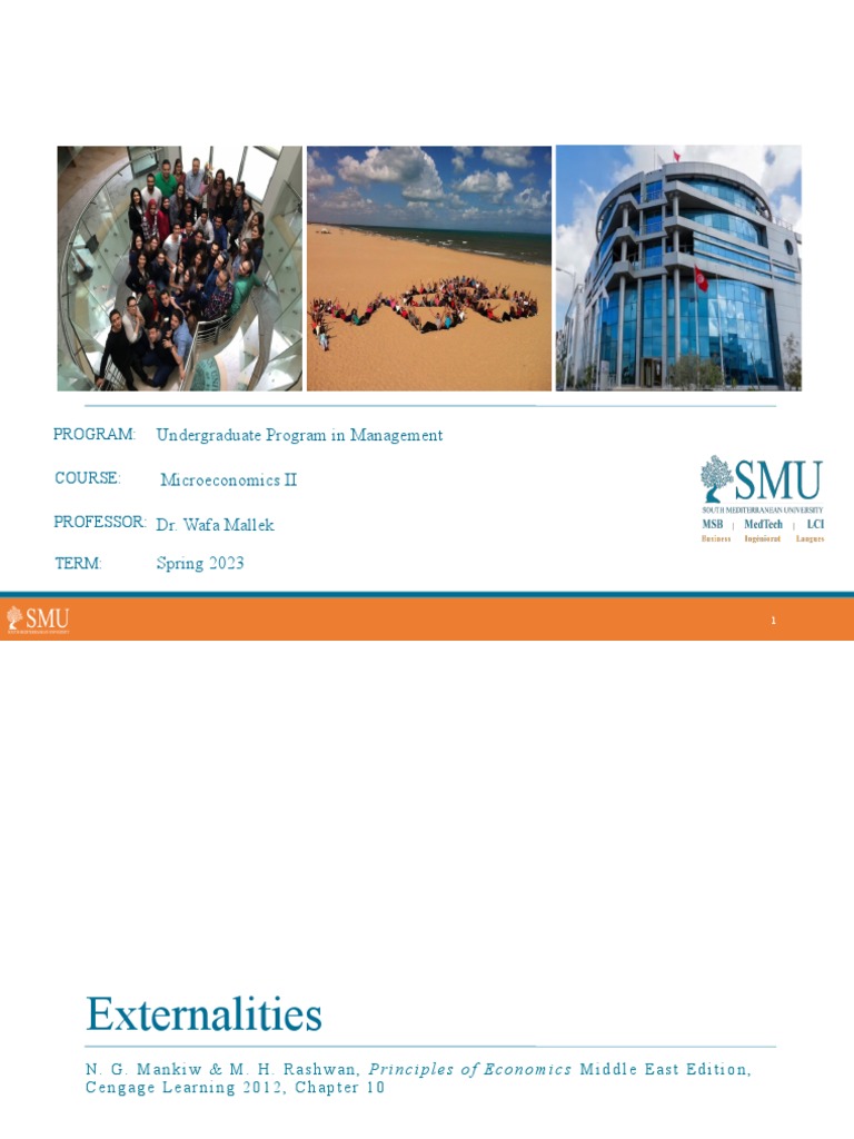 Chapter 5 Externalities | PDF