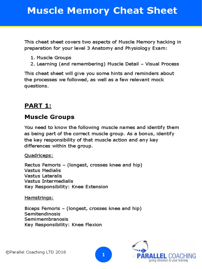Muscle Memory Cheat Sheet PDF | PDF | Pelvis | Anatomical Terms Of Motion