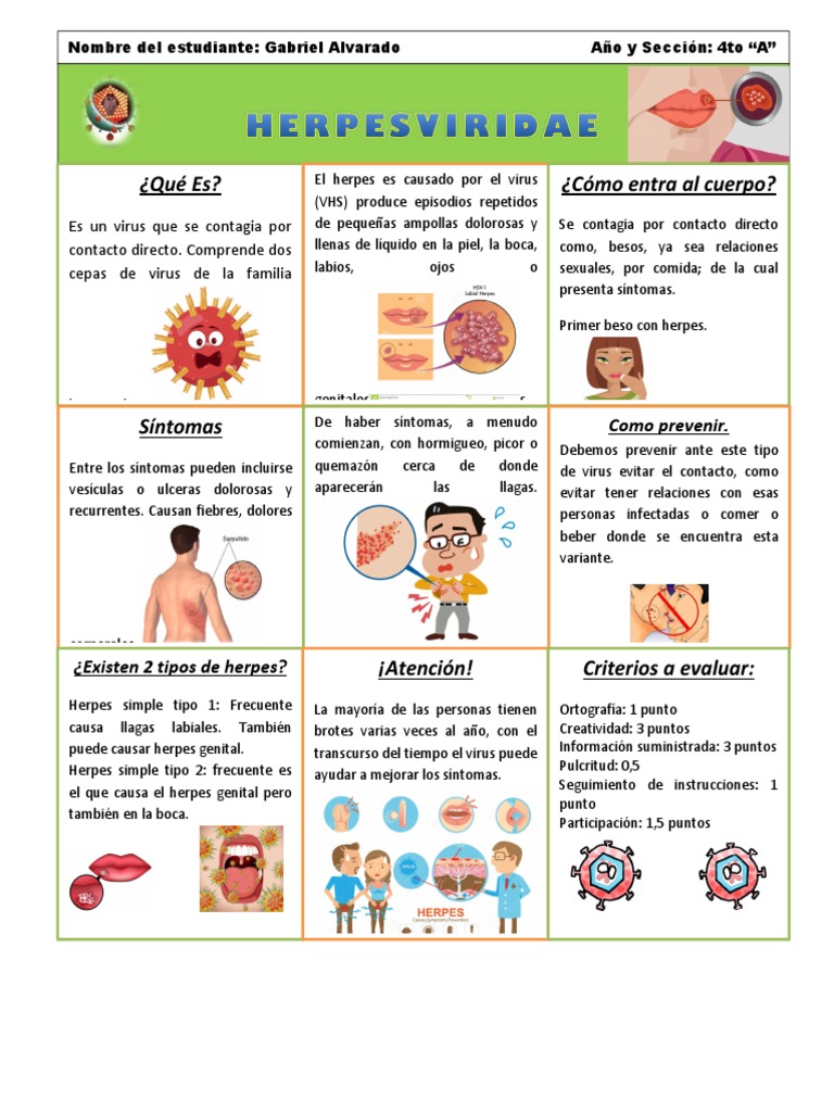 Guía de Prevención del Herpes | PDF