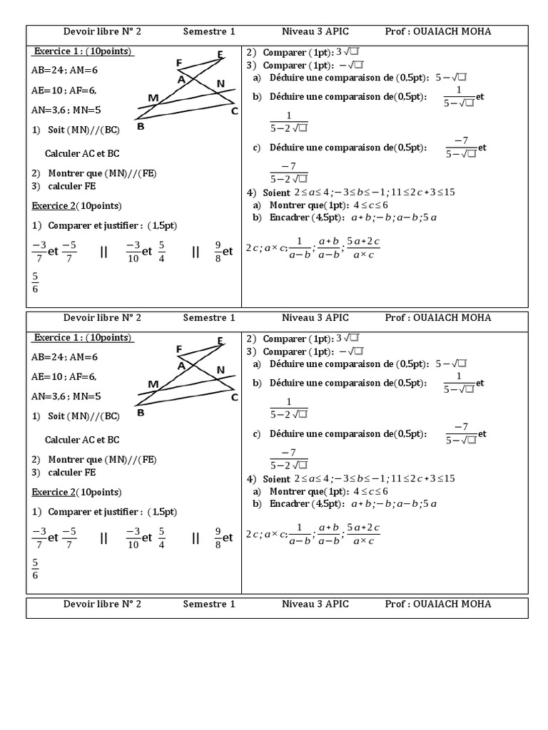 Devoir Libre 2 3APIC | PDF