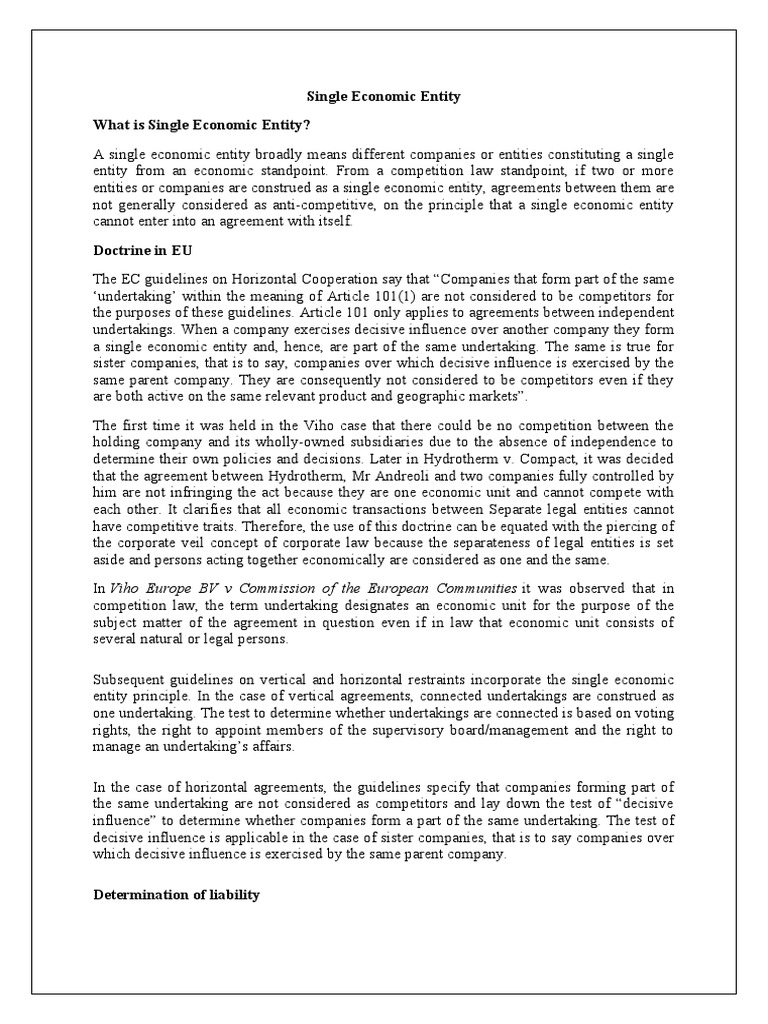 Single Economic Entity | PDF
