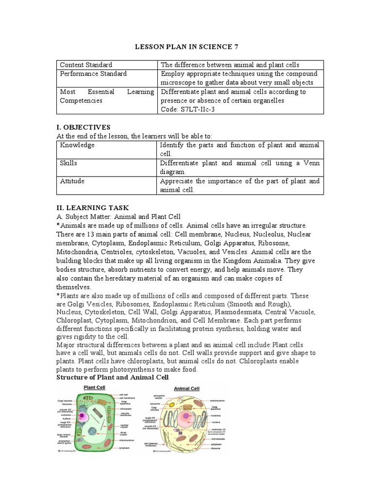 Plant and Animal Cell Lesson Plan | PDF | Cell (Biology) | Cytoplasm