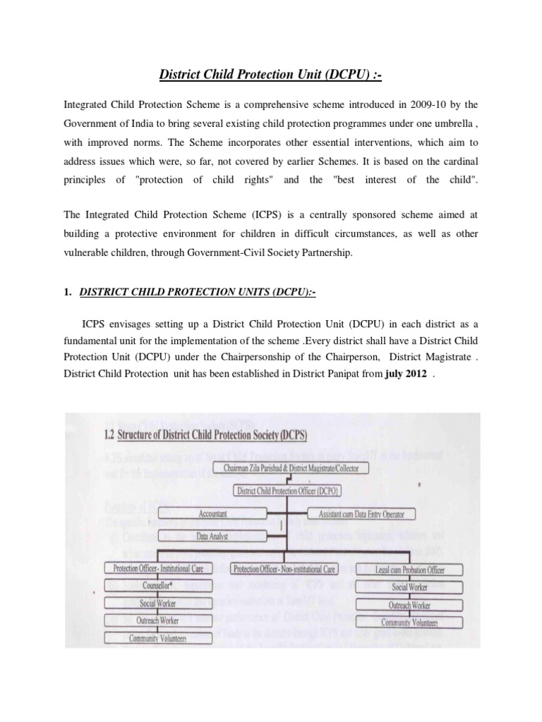 District Child Protection Units (Dcpu) | Download Free PDF | Child ...