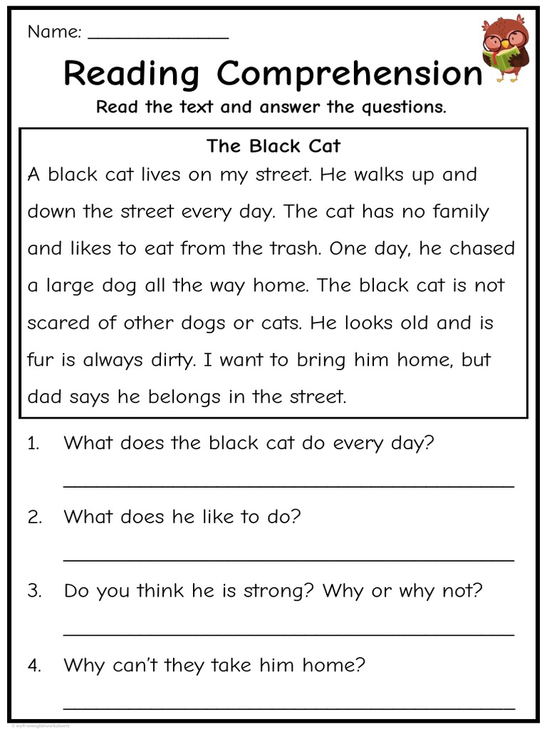 Grade 1 Reading: The Black Cat Passage | PDF