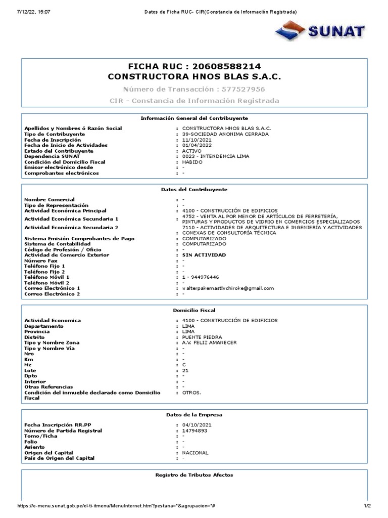 Ficha Ruc Blas | PDF