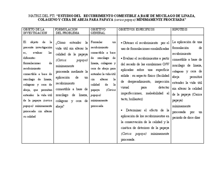 MATRIZ DEL PTI Nuevo | PDF