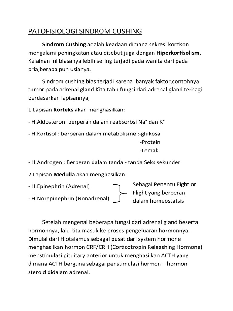 Patofisiologi Sindrom Cushing | PDF