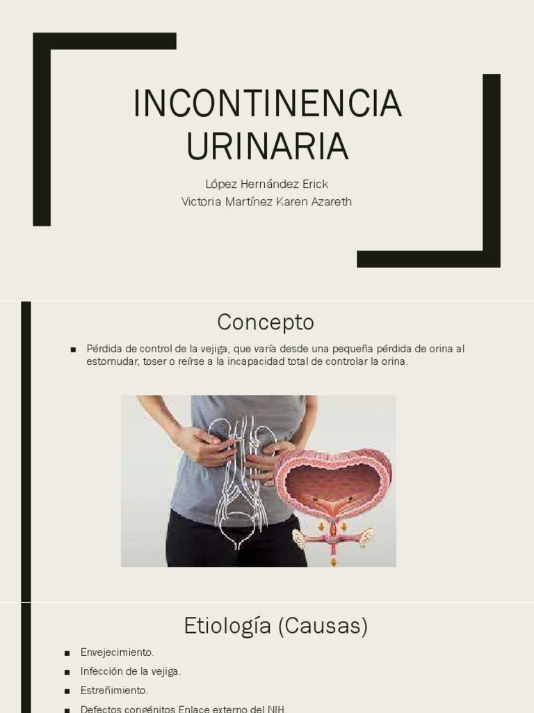 Incontinencia Urinaria PDF | PDF