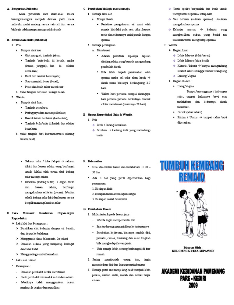 Leaflet Pubertas | PDF