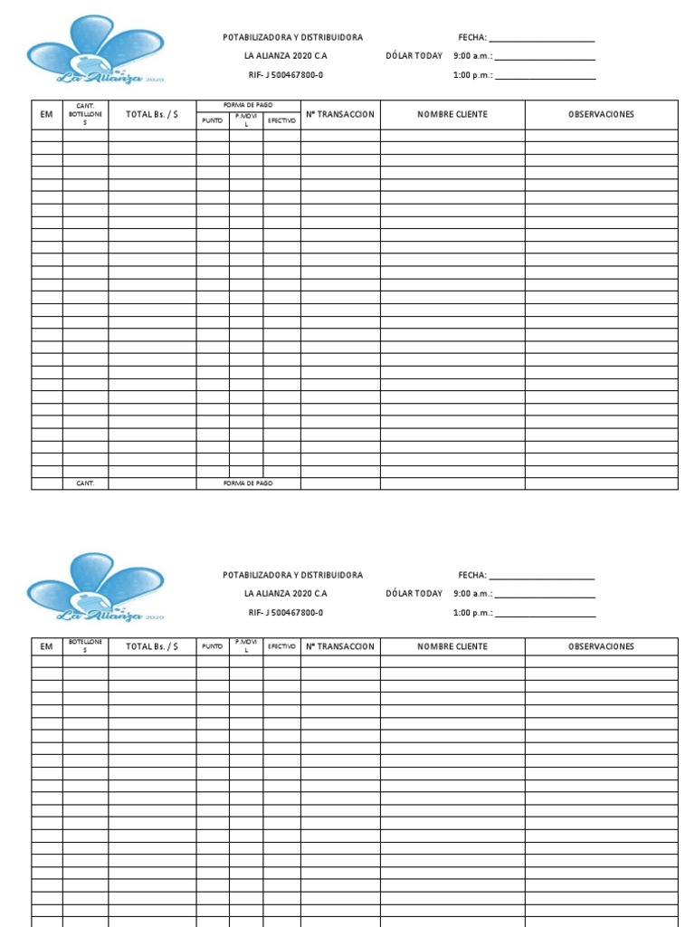 Formato Control Diario de Ventas | PDF
