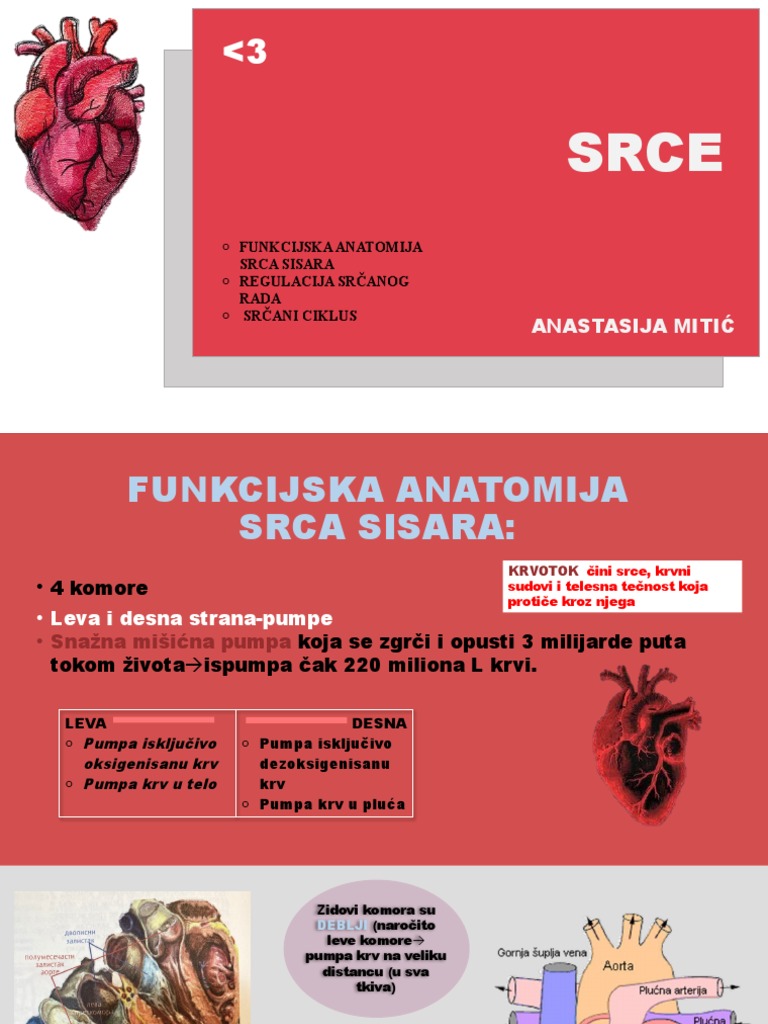 SRCE | PDF