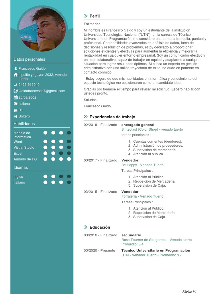 Curriculum Vitae PDF | PDF | Informática