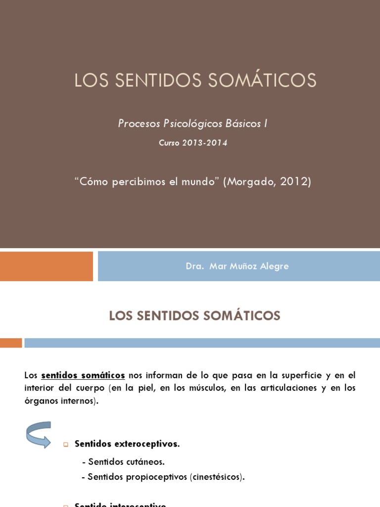 Los Sentidos Somáticos PDF | PDF