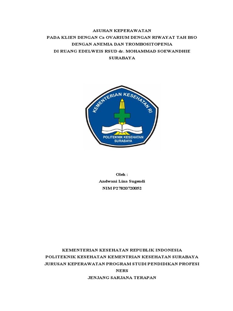 ASUHAN KEPERAWATAN PADA KLIEN DENGAN Ca OVARIUM DENGAN RIWAYAT TAH BSO ...