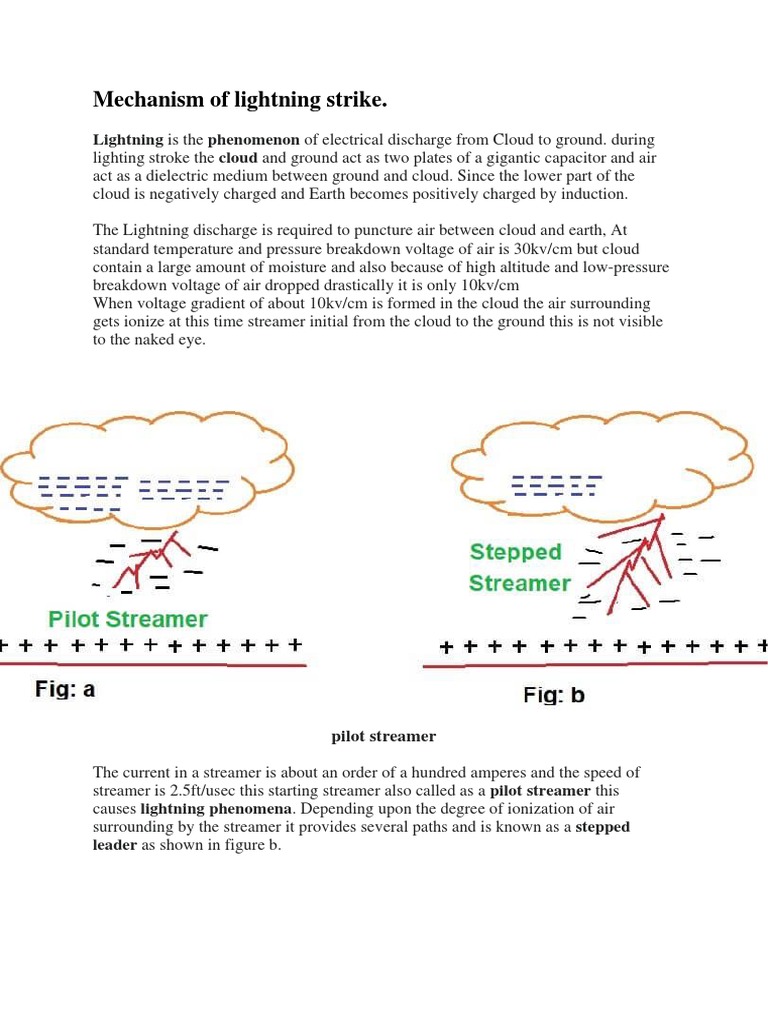 Unit 5 Psg Pdf Pdf 