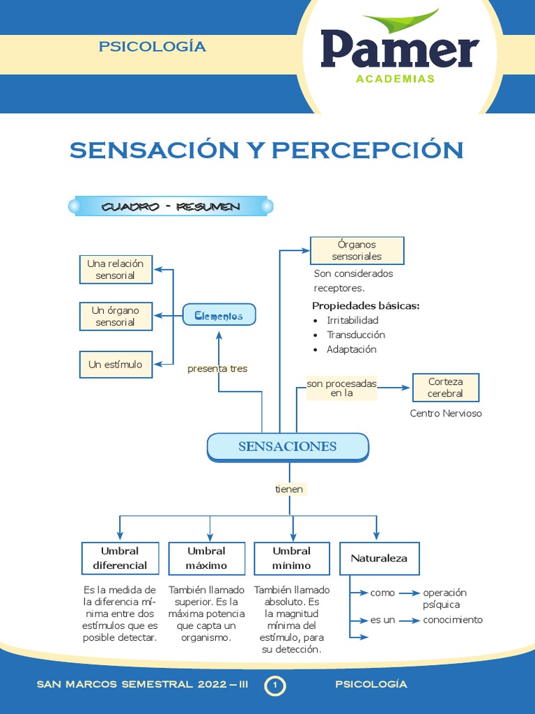 PSICOLOGÍA - S8 - Sensación y Percepción | PDF