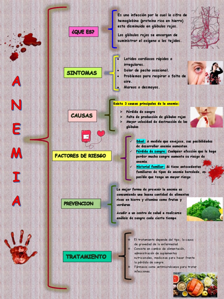 ANEMIA (Mapa Sinópticol) PDF | PDF