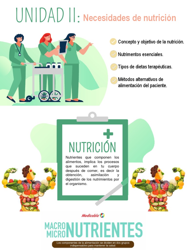 Necesidades Nutricionales PDF | PDF