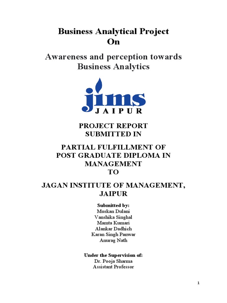 Business Analytical Project | PDF