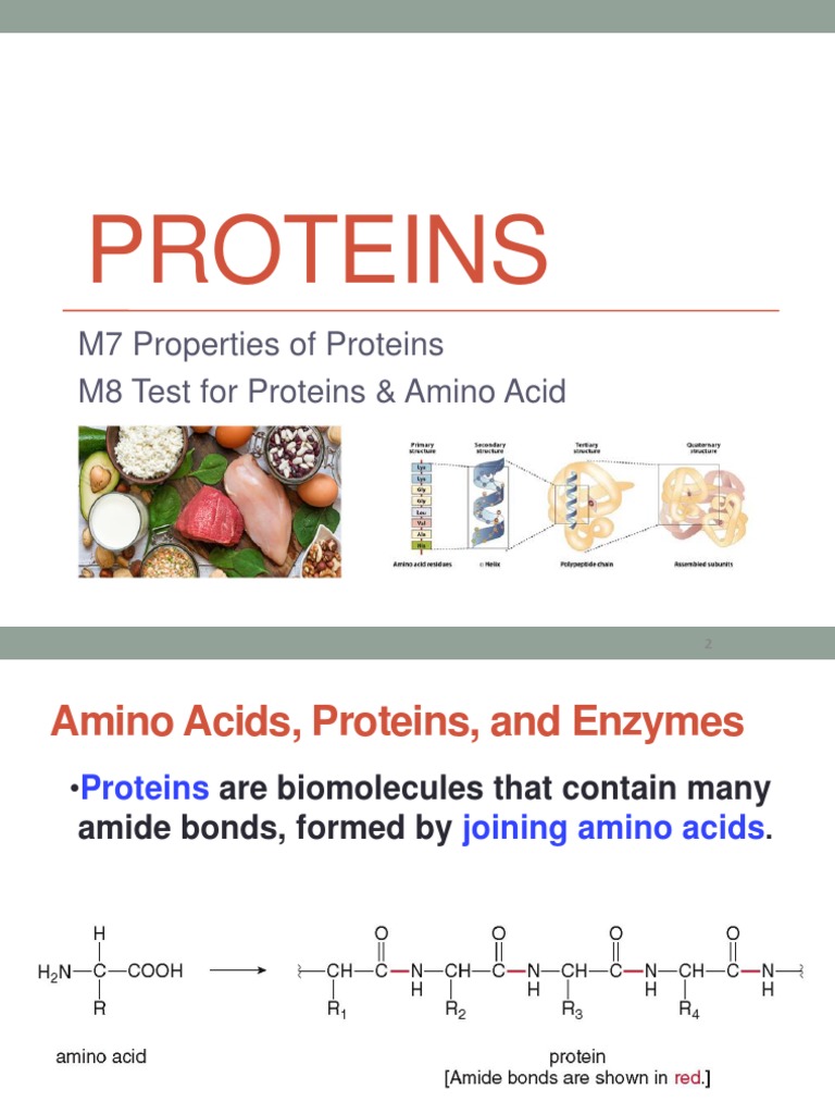 Properties and Tests of Proteins | PDF | Proteins | Amino Acid