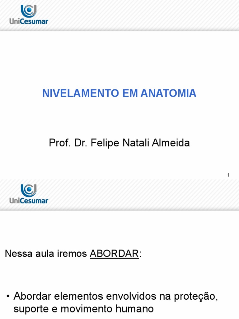 Nivelamento | PDF