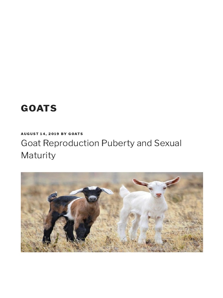 Goat Reproduction Puberty and Sexual Maturity - Goats | Download Free ...