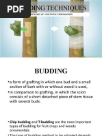 Asexual Propagation by Inarching | PDF | Grafting | Trees