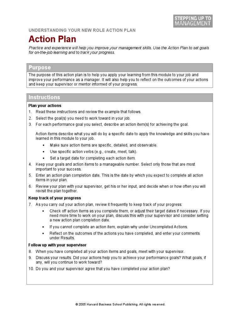 Understanding Your Role - Final Action Plan | PDF | Goal | Mentorship