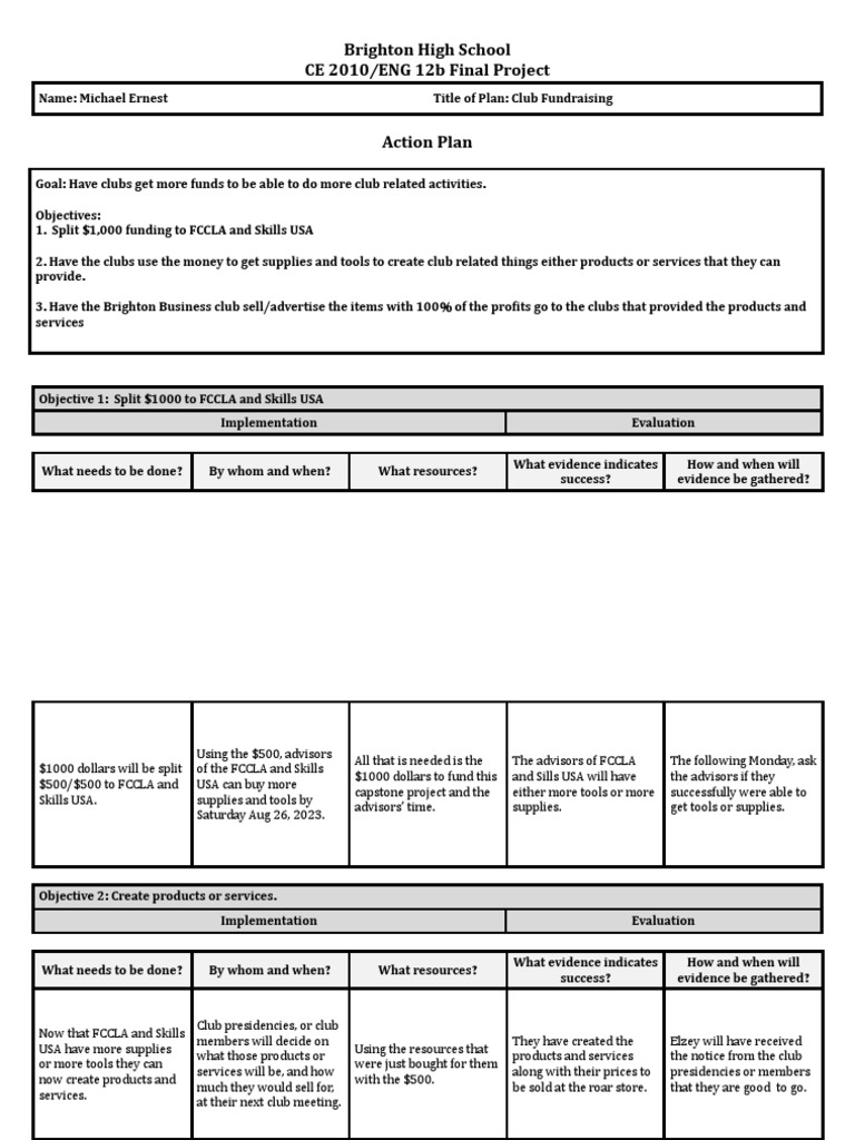 Action Plan Template Bhs Michael Ernest | PDF | Business Economics ...