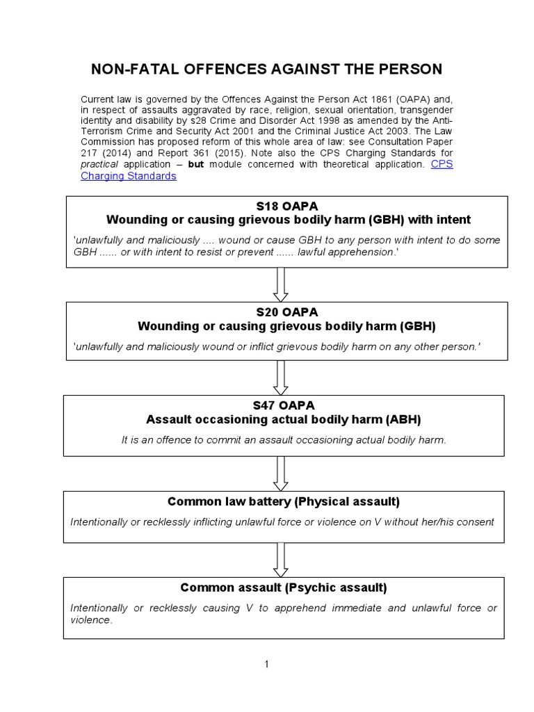 Non-Fatal Offences Against The Person | PDF | Assault | Violence
