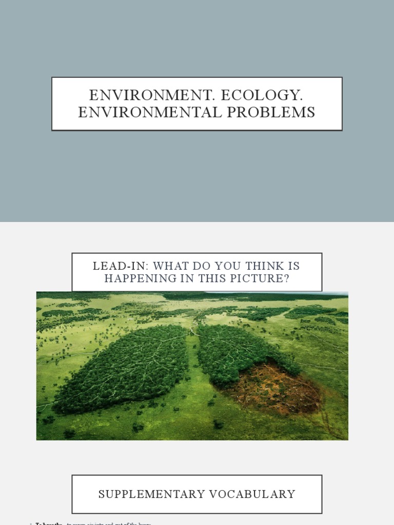 Environmental Problems on the Rise | PDF | Natural Environment ...