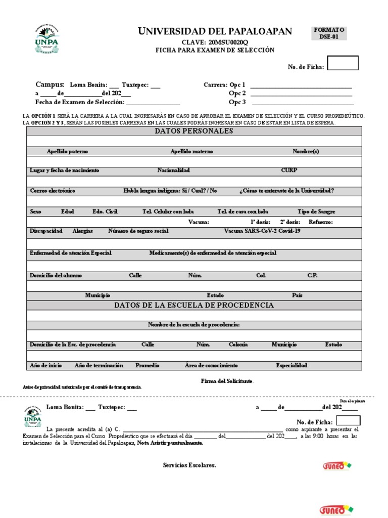 FORMATO DSE-01 FICHAS 2023.docx | PDF
