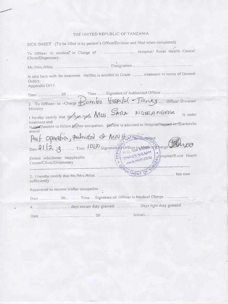 Sick Sheet For Sara Ngerangera | PDF