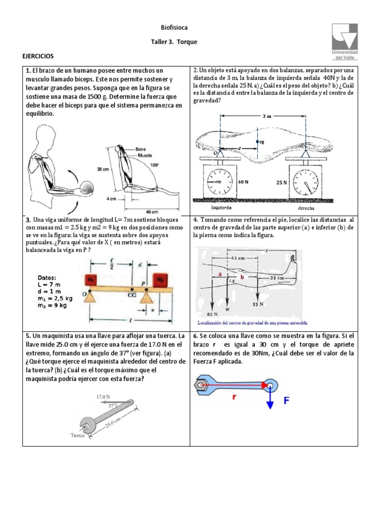 Taller 3 Torque PDF | PDF