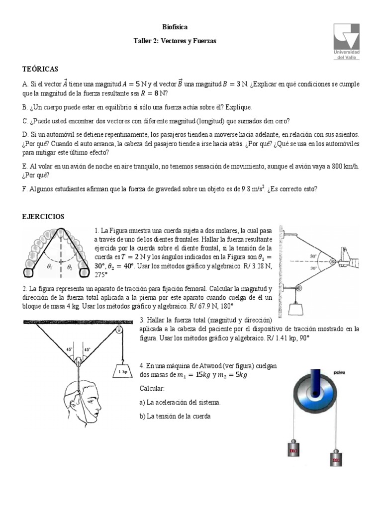 Taller2 Vectores Fuerzas PDF | PDF | Vector Euclidiano | Fuerza