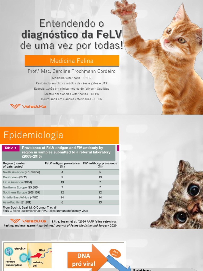 Felv Diagnostico | PDF | Linfócito | Gatos