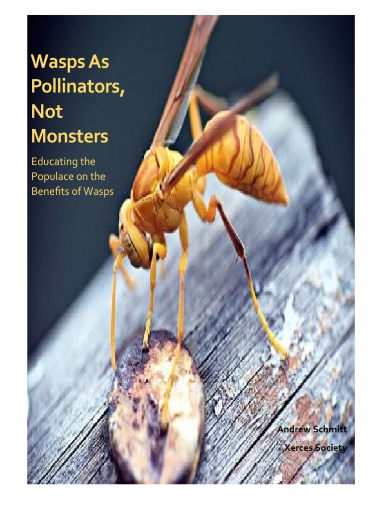 Wasp White Paper - Final Edit | PDF