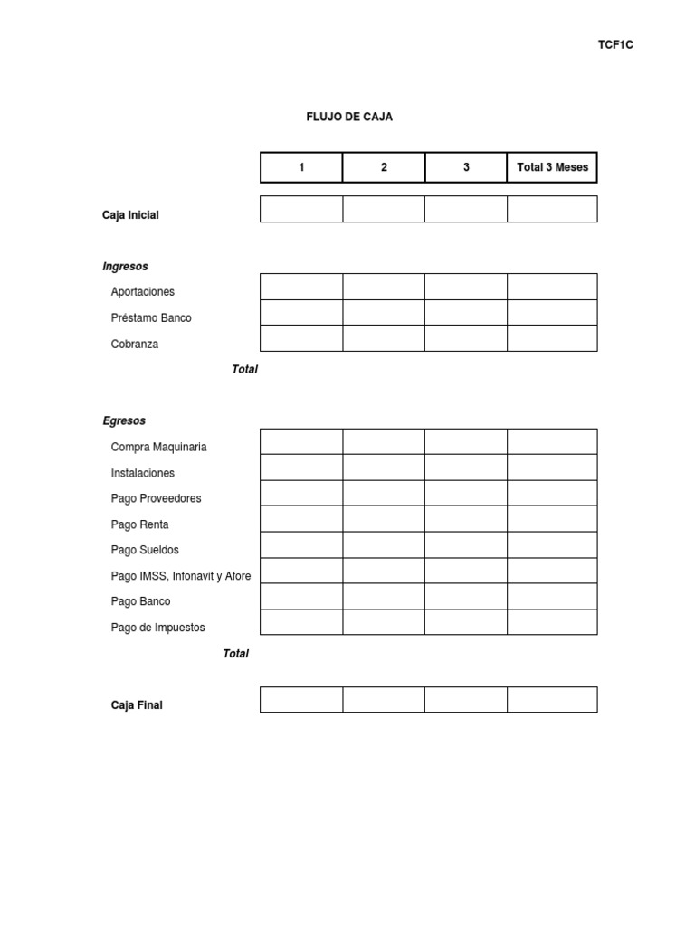 Flujo de Caja PDF | PDF