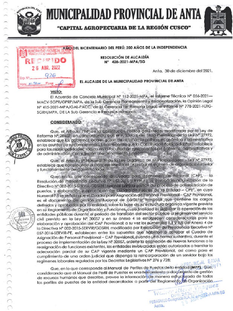 Manual de Perfiles de Puesto PDF | PDF