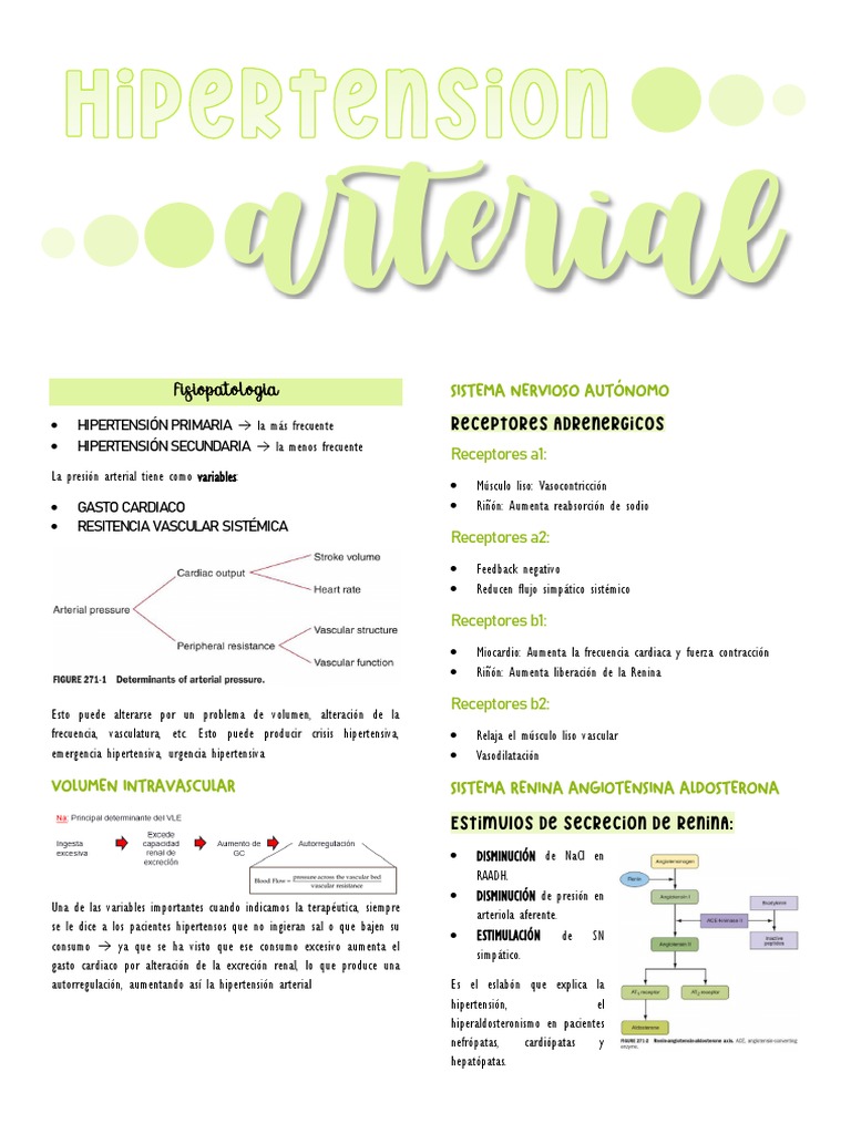 Clase 31 - HTA PDF | PDF