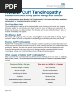Sahrmann Core Stability Test Levels | PDF