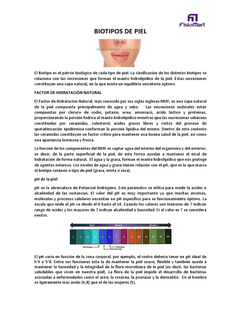 Biotipos de Piel y pH: Guía Completa | PDF | Piel | Ultravioleta