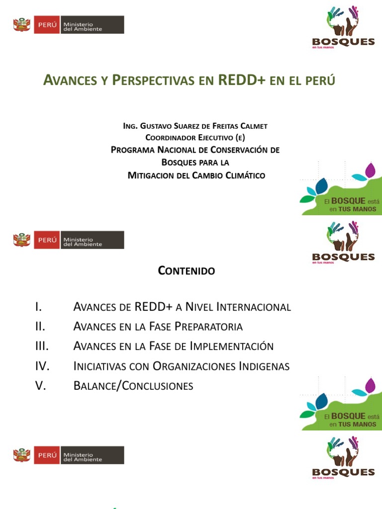 Avances de REDD+ en Perú 2023 | PDF | Reducción de emisiones por ...