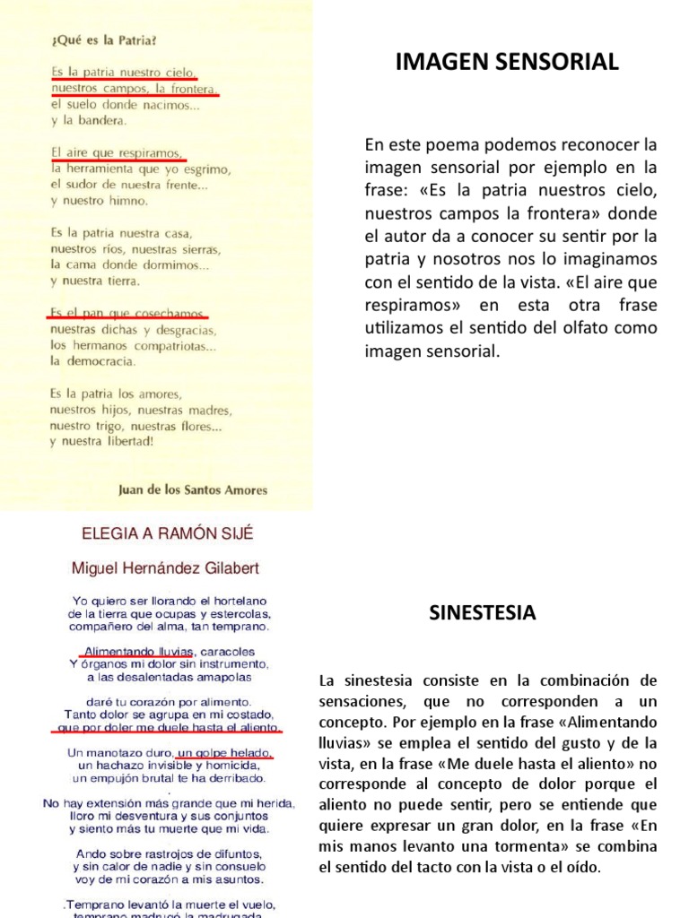 Imagen Sensorial y Sinestesia | PDF