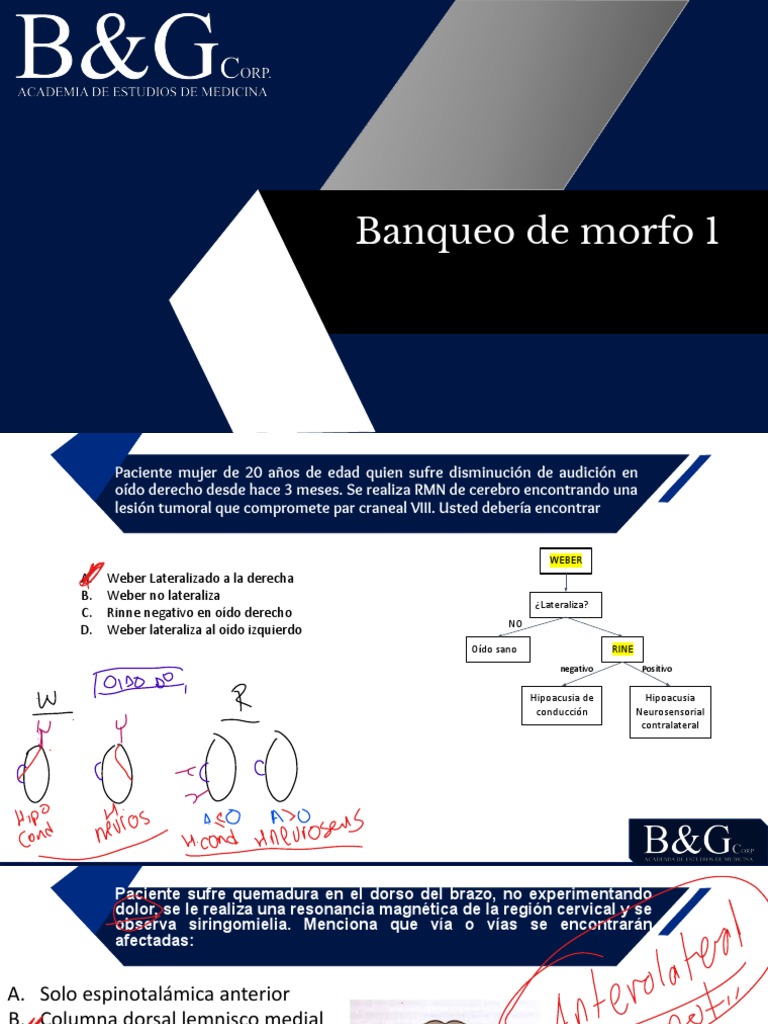 Banqueo Morfo 1 Parcial 2022-2 Desarrollasdo PDF | PDF | Ojo humano | Dolor