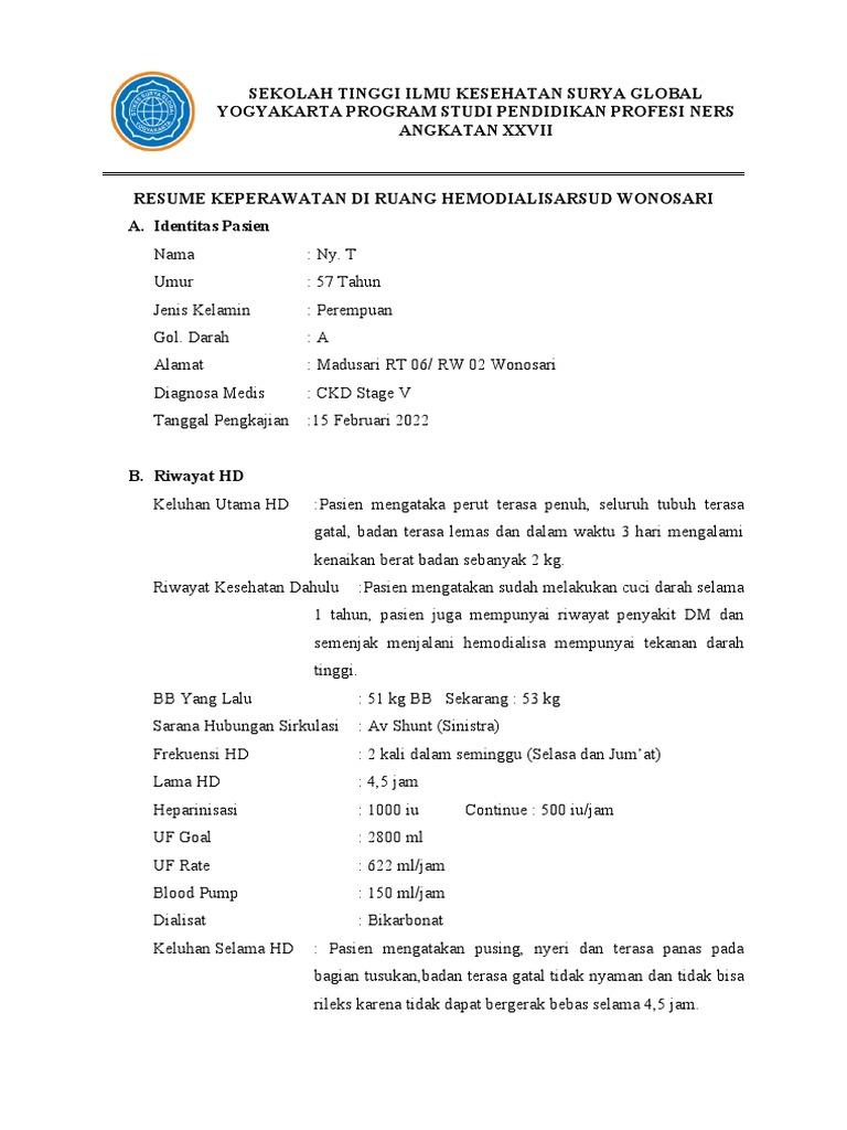 (KMB) Resume HD Nurul | PDF