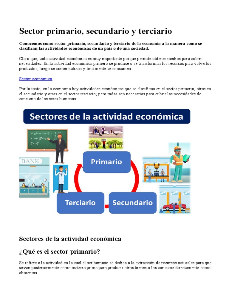 Sectores de La Actividad Económica | PDF | Materia prima | Bienes