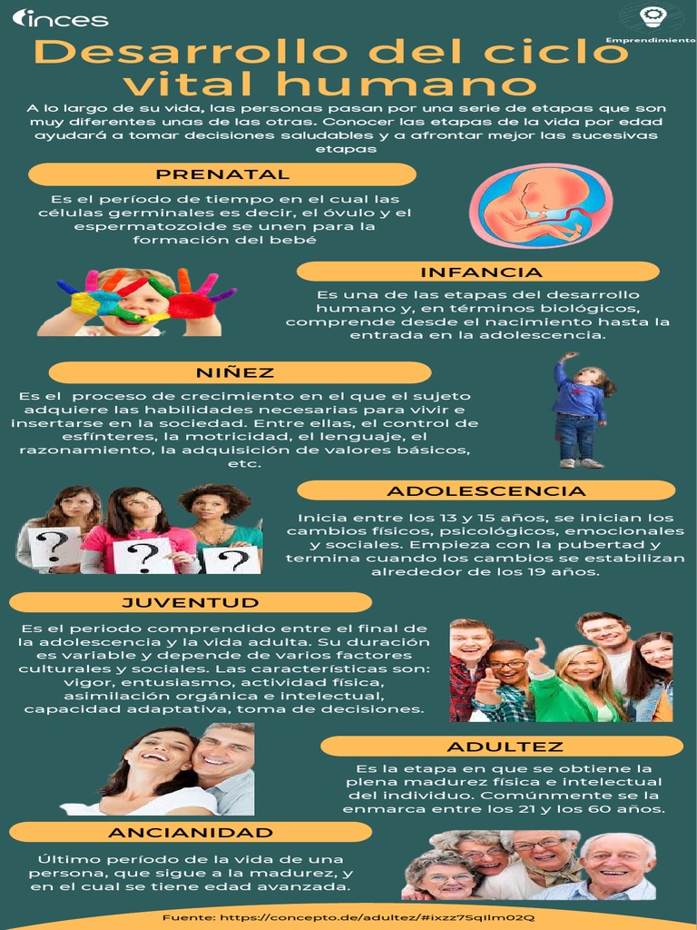 Infografia Etapas de Vida | PDF | Infancia | Adolescencia