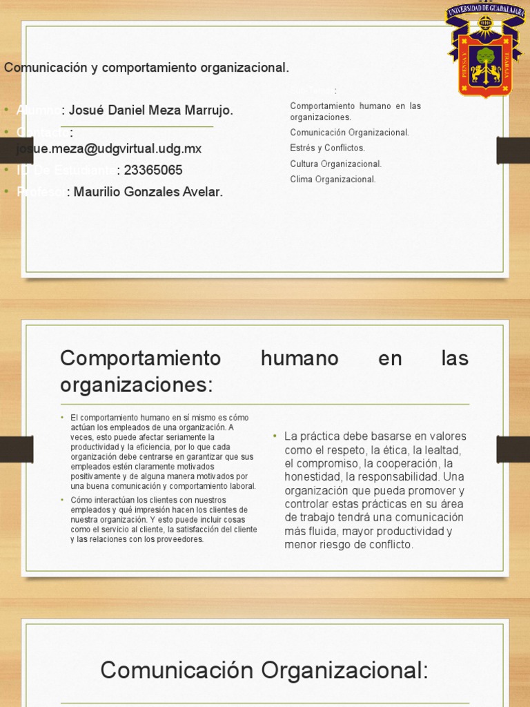 Comunicación y Comportamiento Organizacional Trabajo Final-Meza Marrujo ...