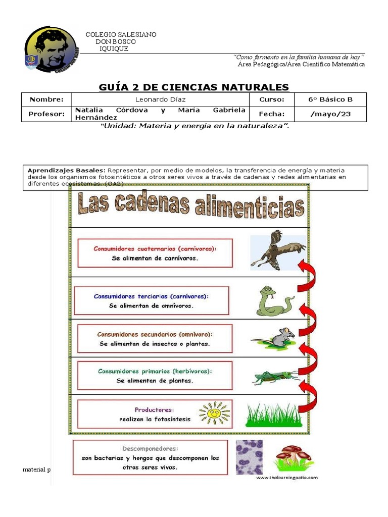 Cadenas Alimentarias | PDF | Ciencias sociales